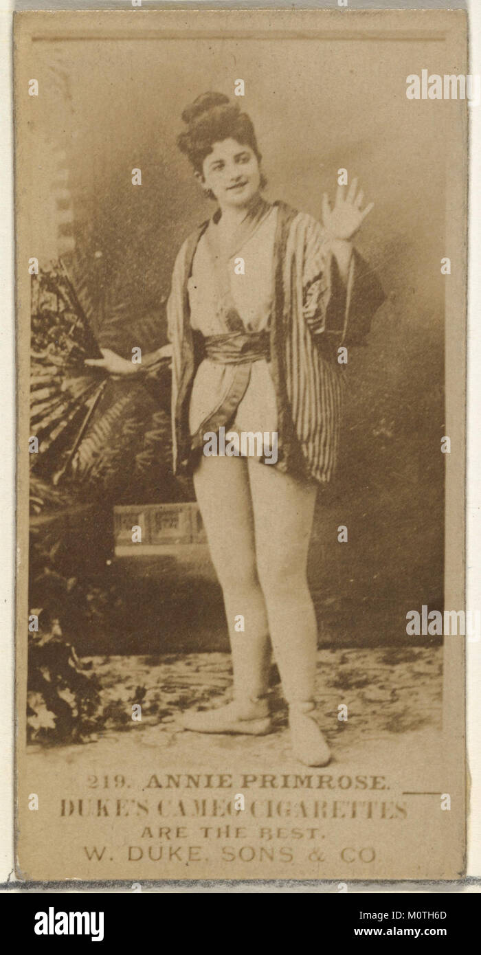 Annie Primrose High Resolution Stock Photography and Images - Alamy