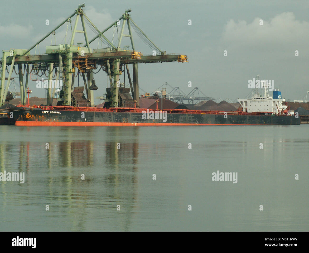 The Cape Kestrel, identified by IMO number 9036014, is a cargo ship ...