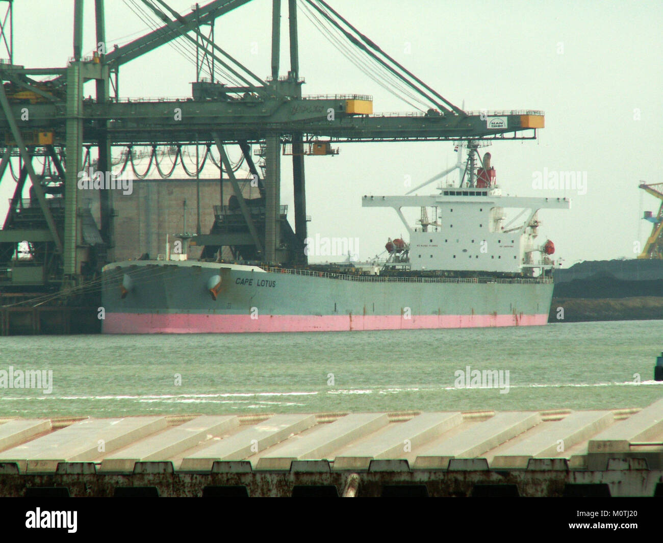 Cape Lotus (IMO 9201695) is a large cargo ship docked at the Port of ...