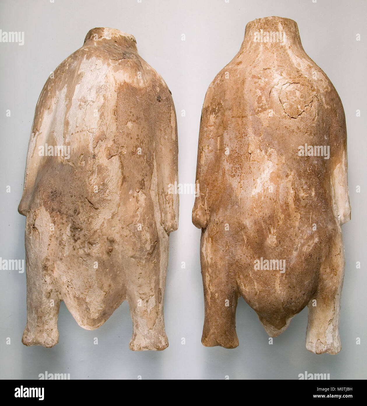 A 19th-century English work titled 'Case for a Goose' from the ...