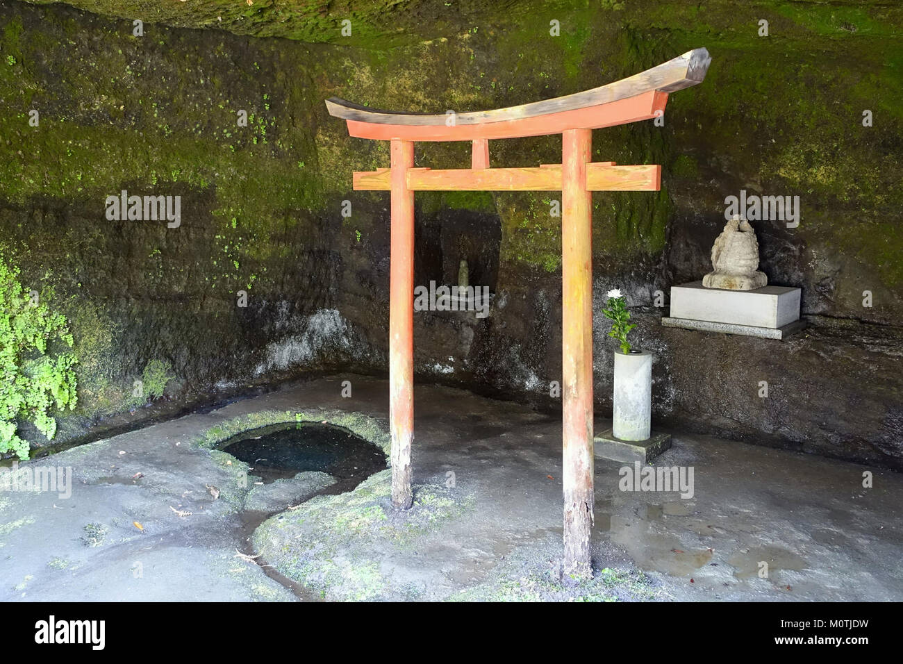 The photograph captures a cave with a torii gate at Kaizo-ji, a temple ...