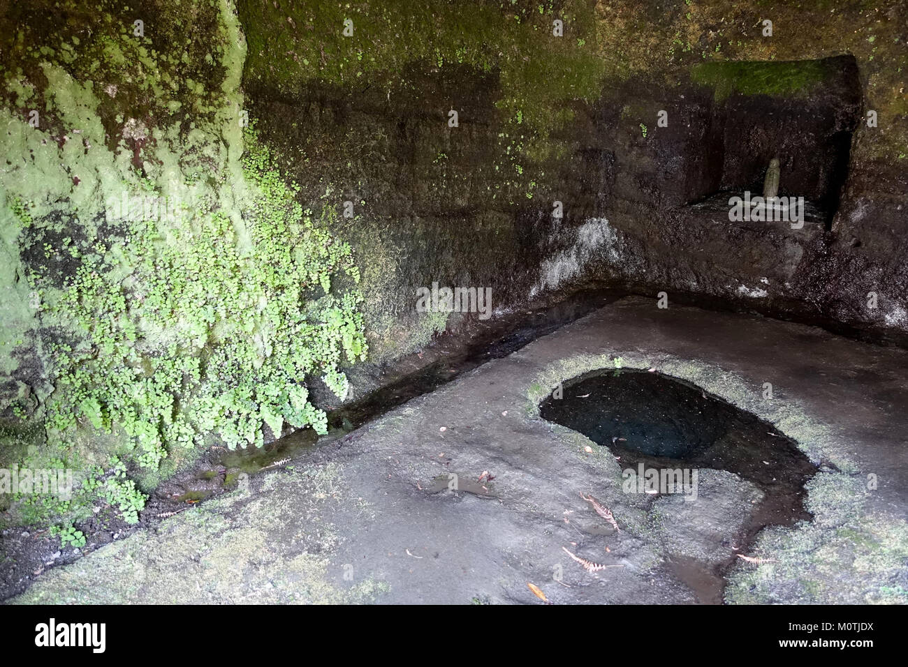 The Kaizo-ji temple in Kamakura, Japan, is known for its torii gate and ...