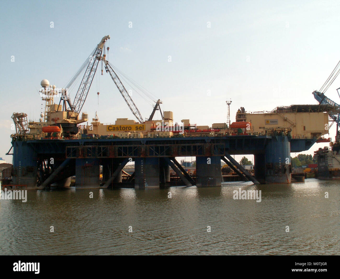 Castoro hi-res stock photography and images - Alamy