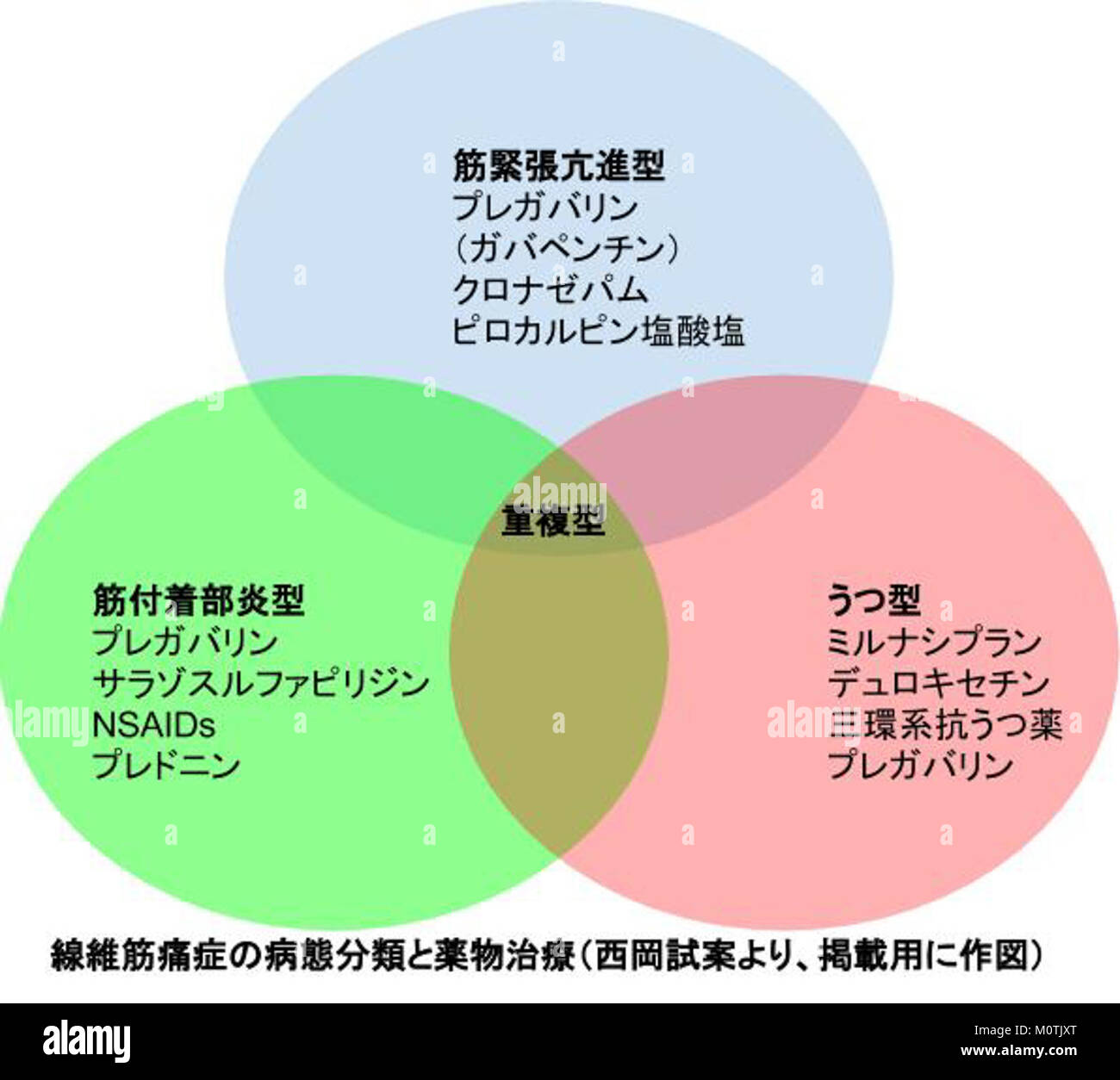Fibro refers to fibrous materials or fibrous tissues, commonly used in ...