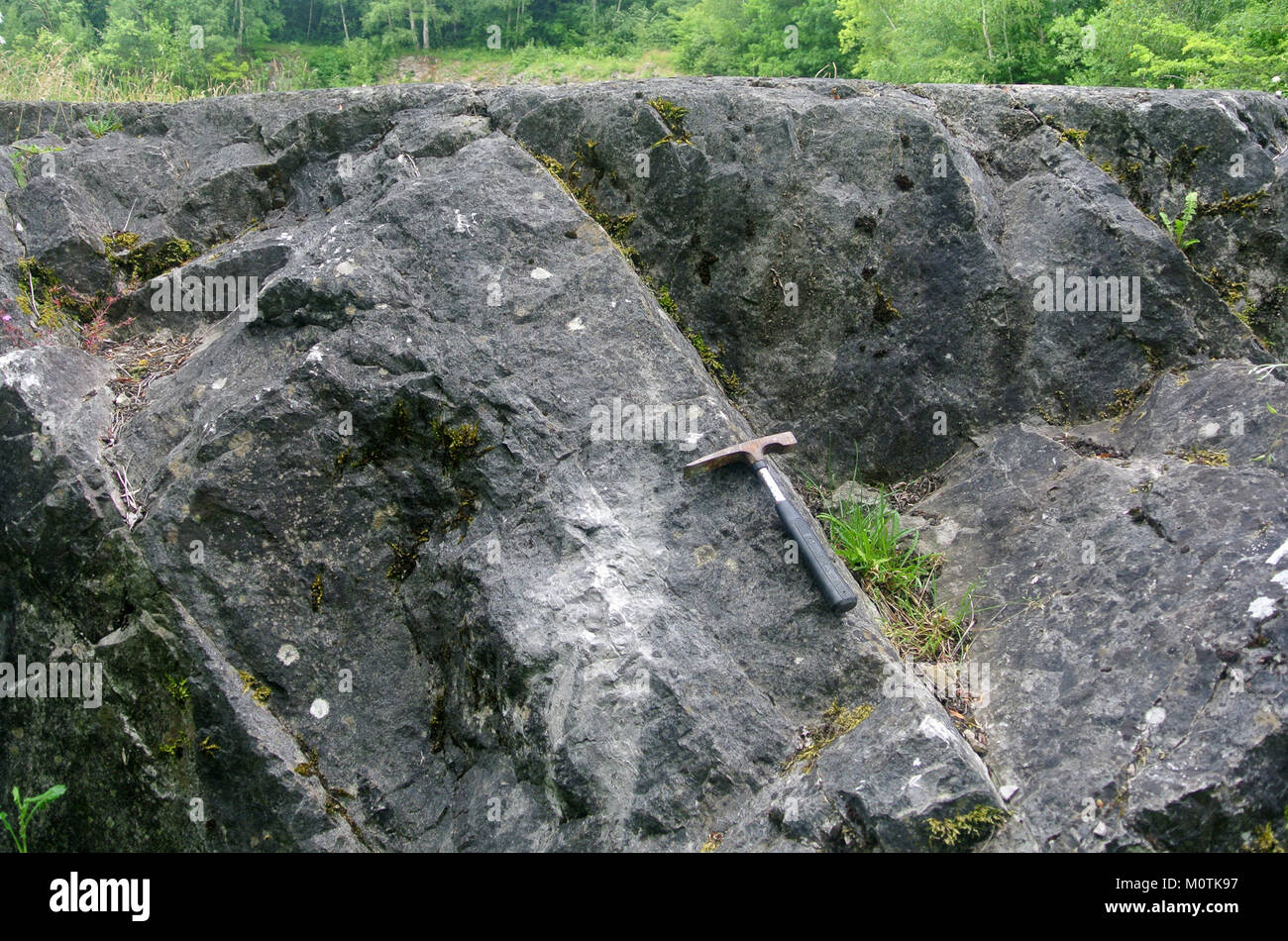 Tedbury hi-res stock photography and images - Alamy