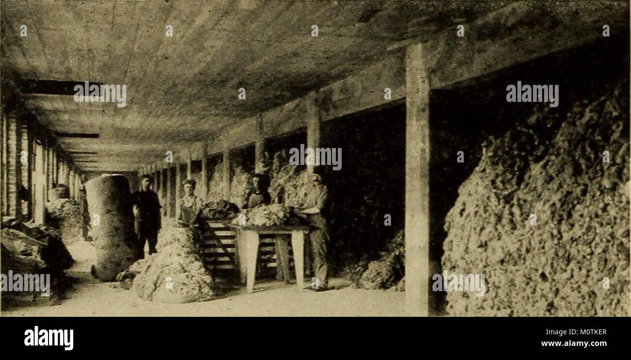 The Central Manufacturing District : Chicago Junction Railway Service ...