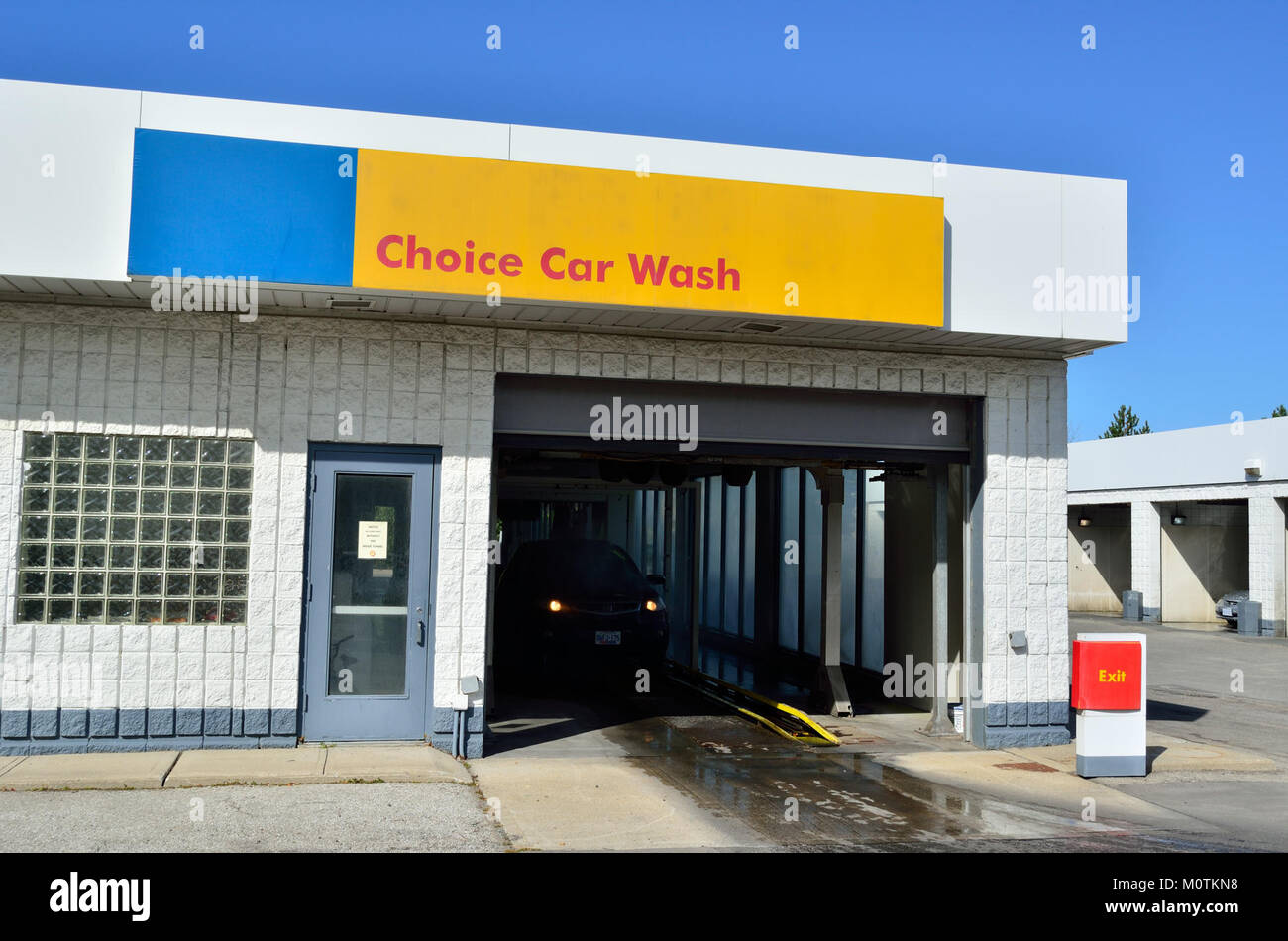 The Car Wash Shell is a distinctive decorative shell often used in ...