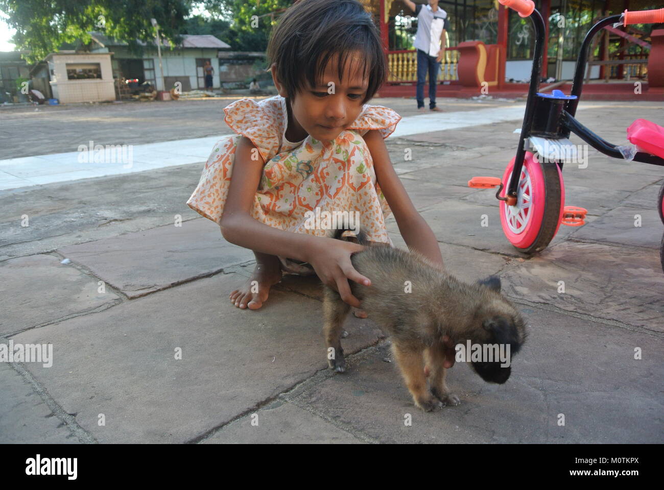 Girl and Puppy, Bagan, Myanmar Stock Photo - Alamy
