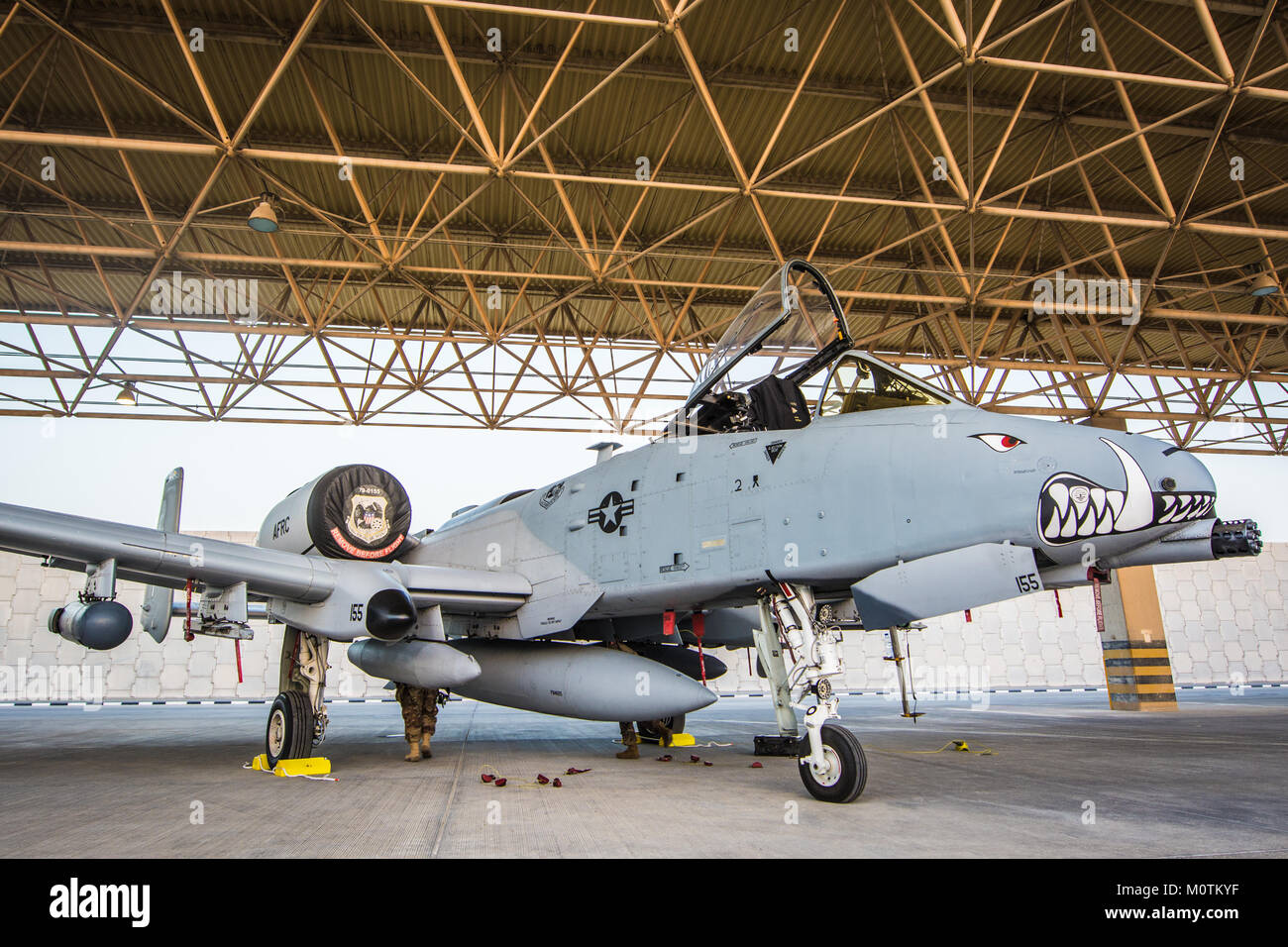 303rd fighter squadron hi-res stock photography and images - Alamy