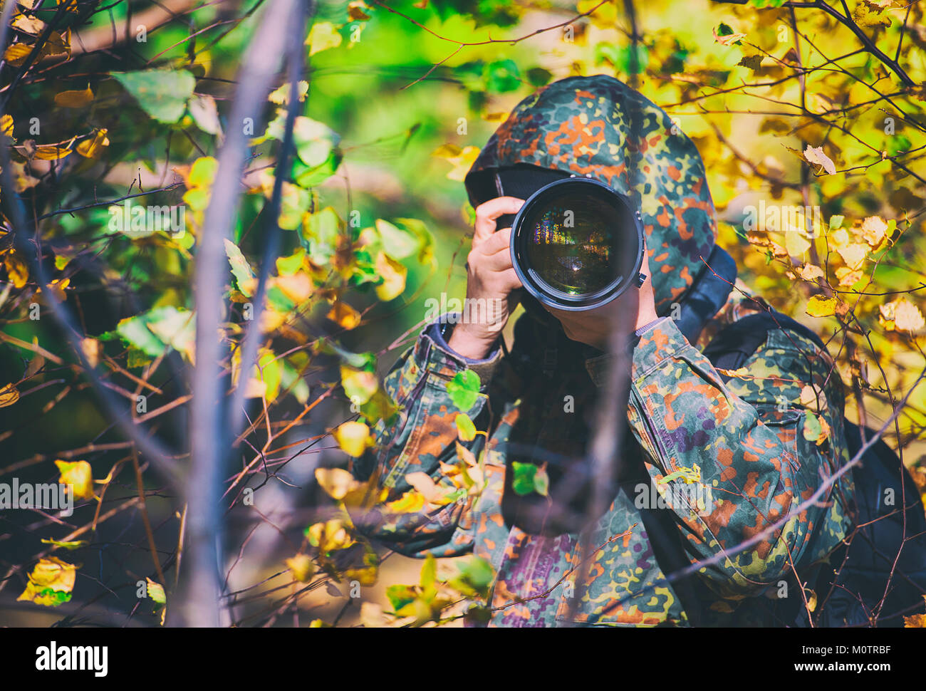 Photographer camera in forest man hi-res stock photography and images ...