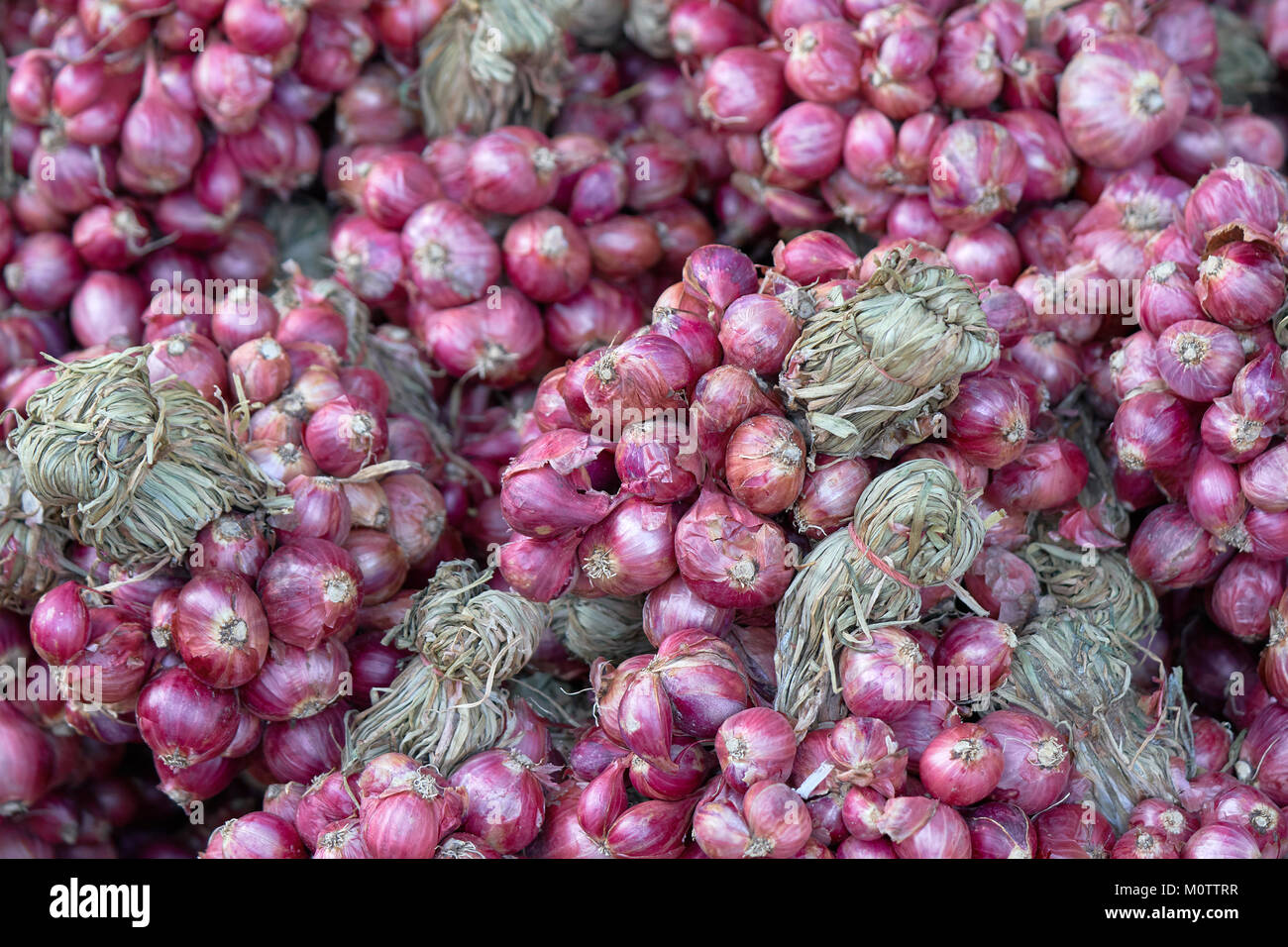 Shredded shallots, after picking up the produce from the shallot garden ...