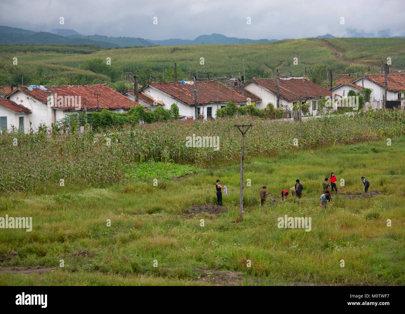Rural farming village with North Korean people working in a field ...