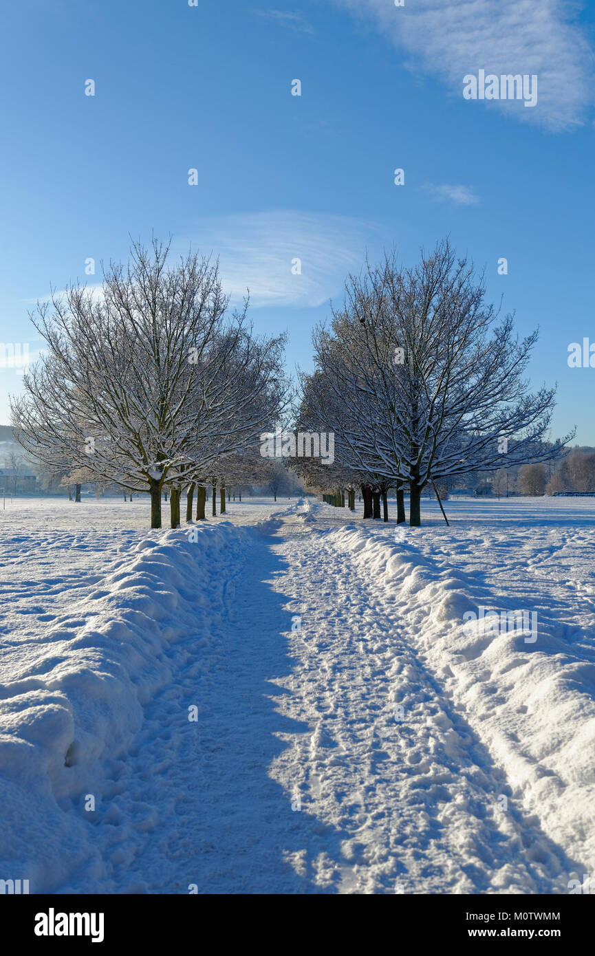 South inch park perth hi-res stock photography and images - Alamy