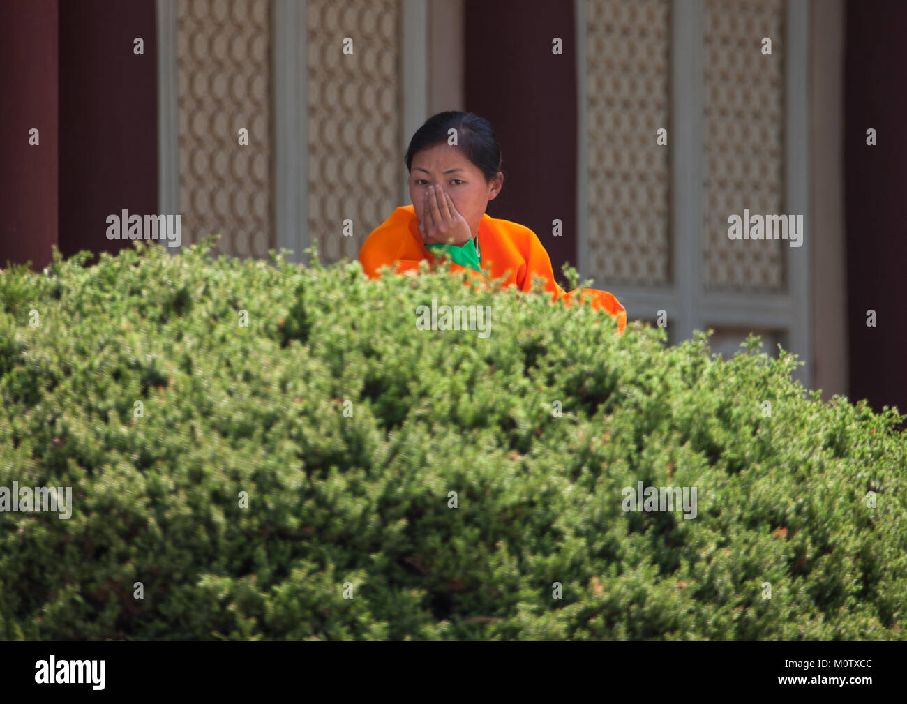 North Korean woman behind a bush, North Pyongan Province, Myohyang-san ...