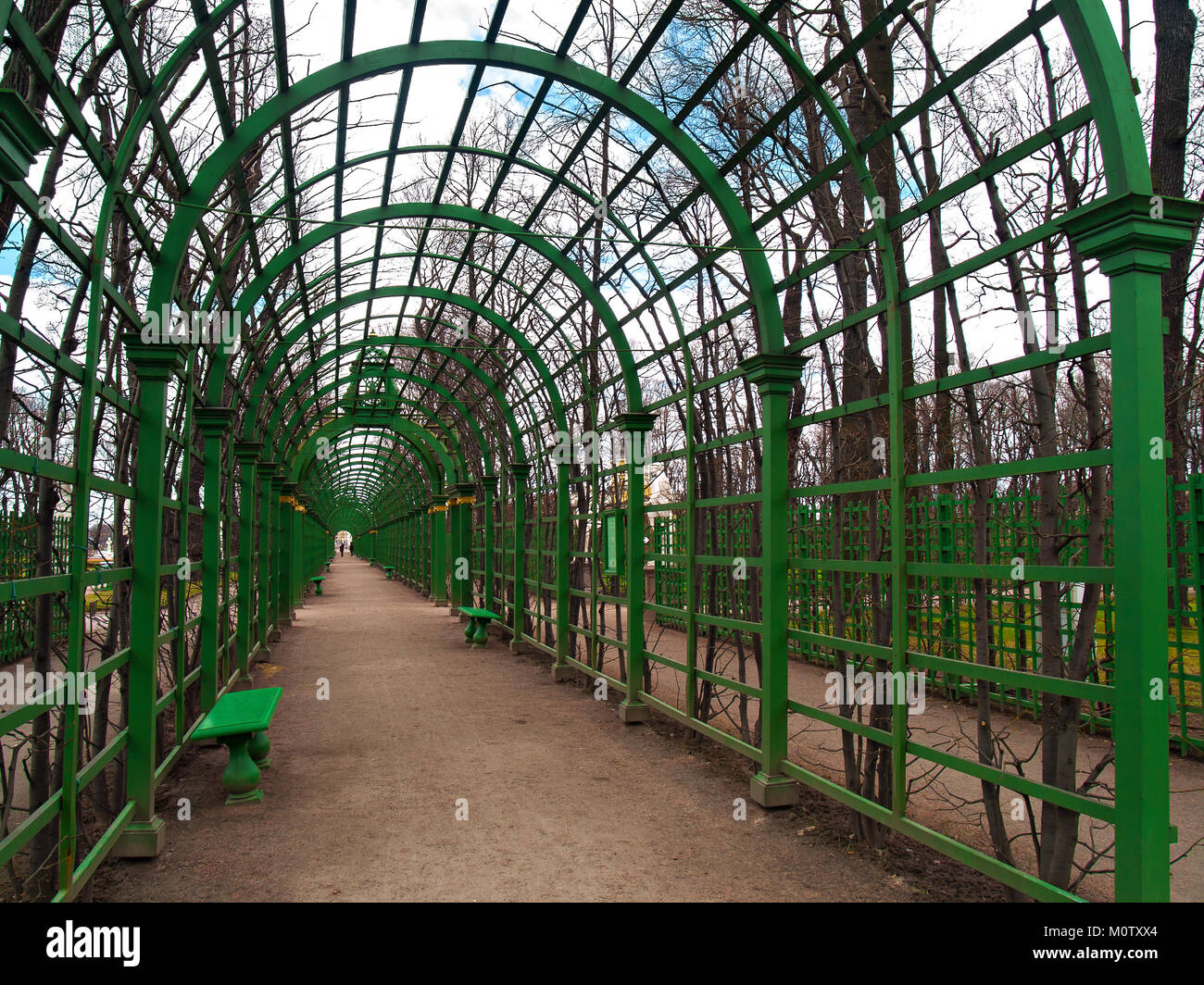 Arched trellis of the main avenue in the park Summer garden in the ...