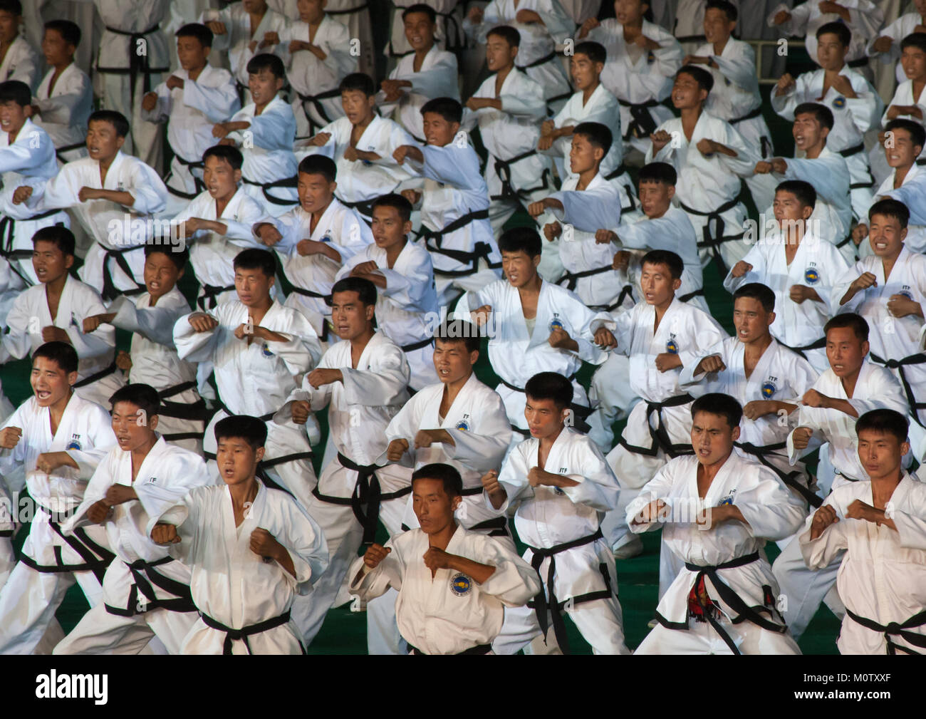 Taekwando men diuring the Arirang mass games in may day stadium ...
