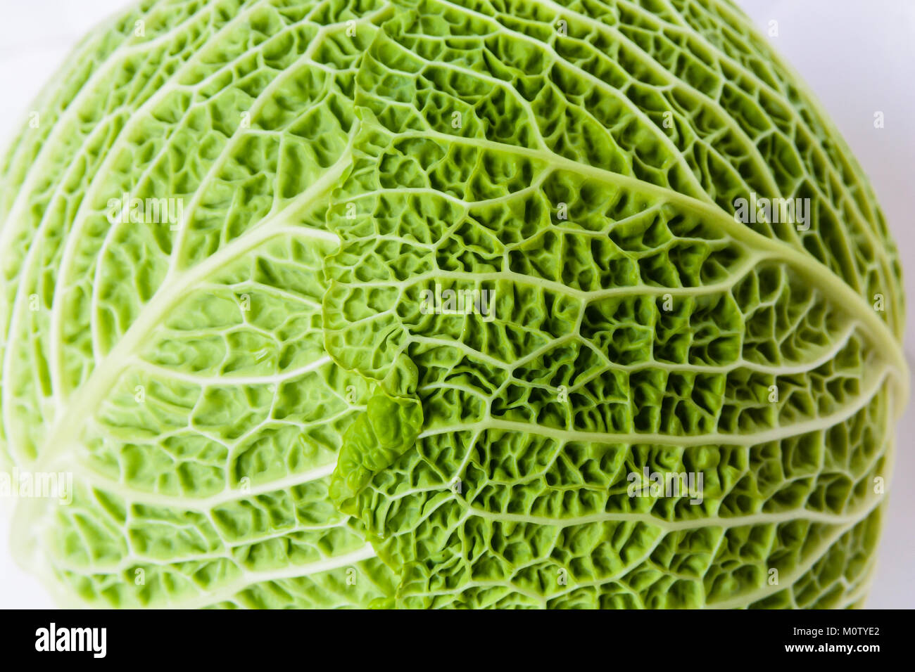 Close-up view of the crumpled structure of a green cabbage leaf Stock ...