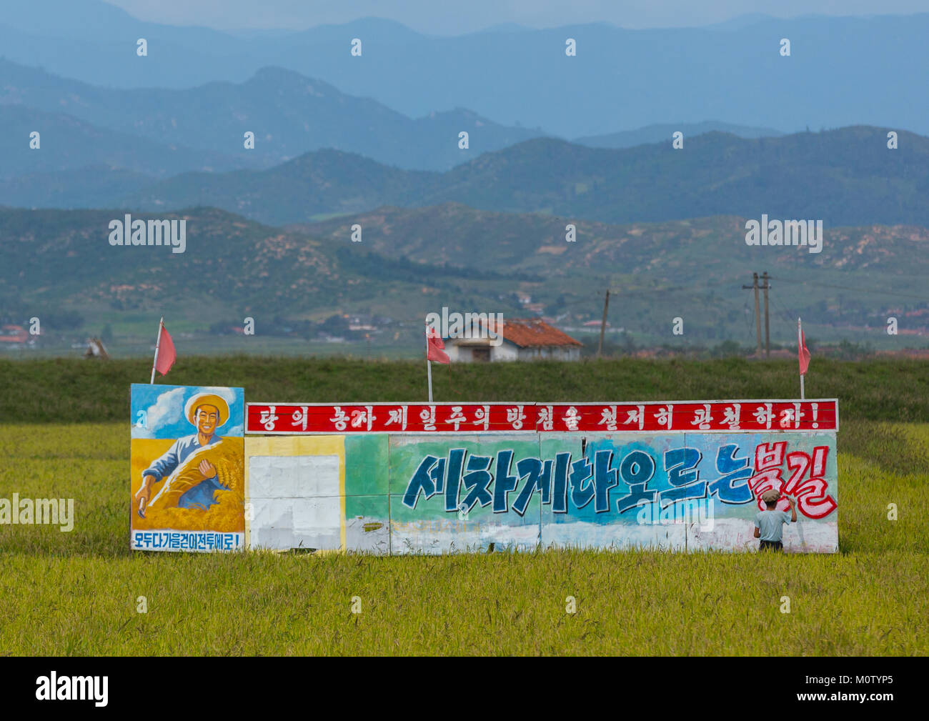 Man painting a propaganda billboard in a rice field, South Hamgyong ...