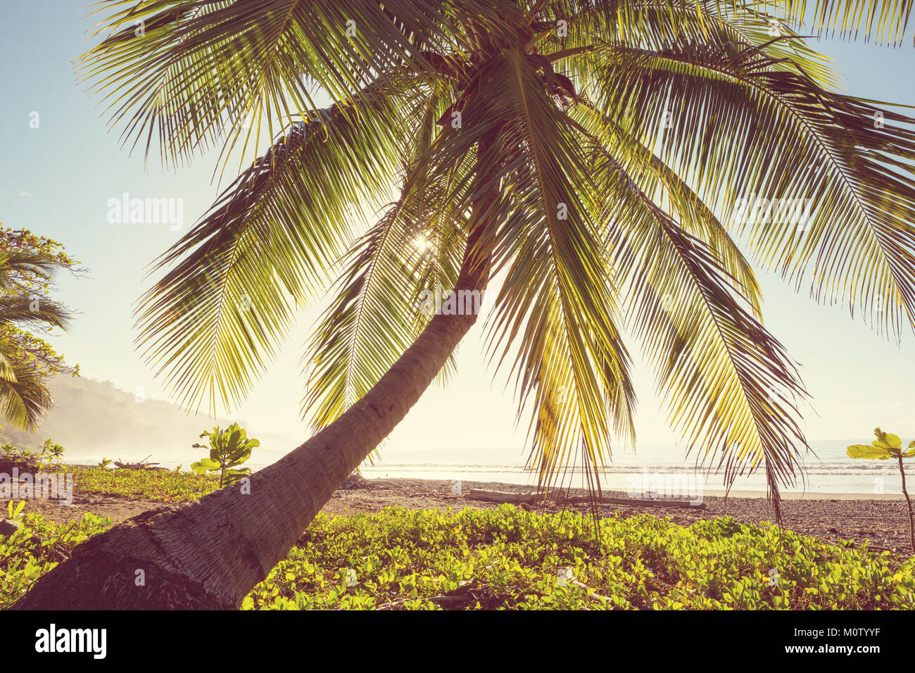 Beautiful tropical Pacific Ocean coast in Costa Rica Stock Photo - Alamy