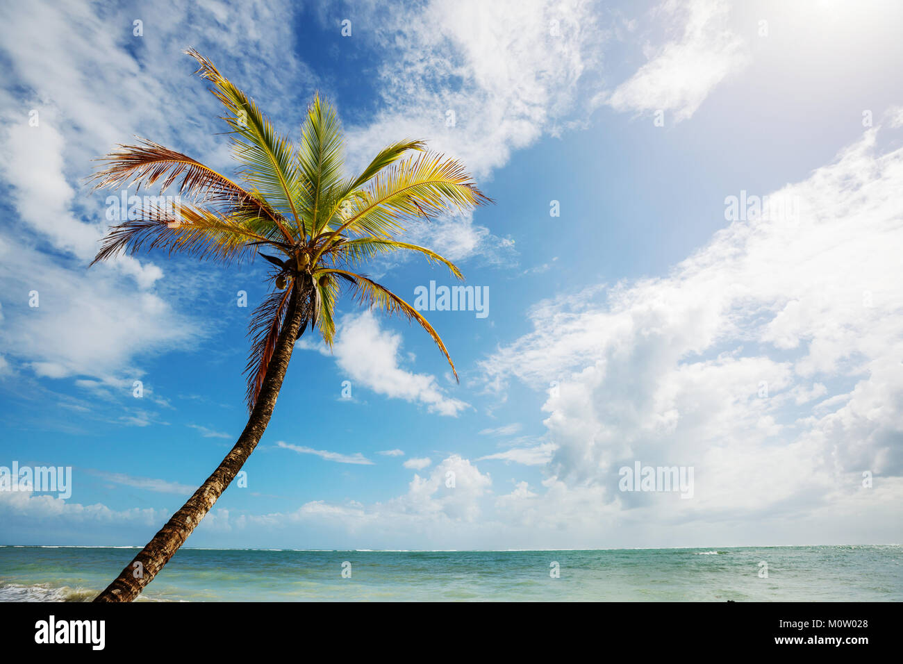 Beautiful tropical Pacific Ocean coast in Costa Rica Stock Photo - Alamy