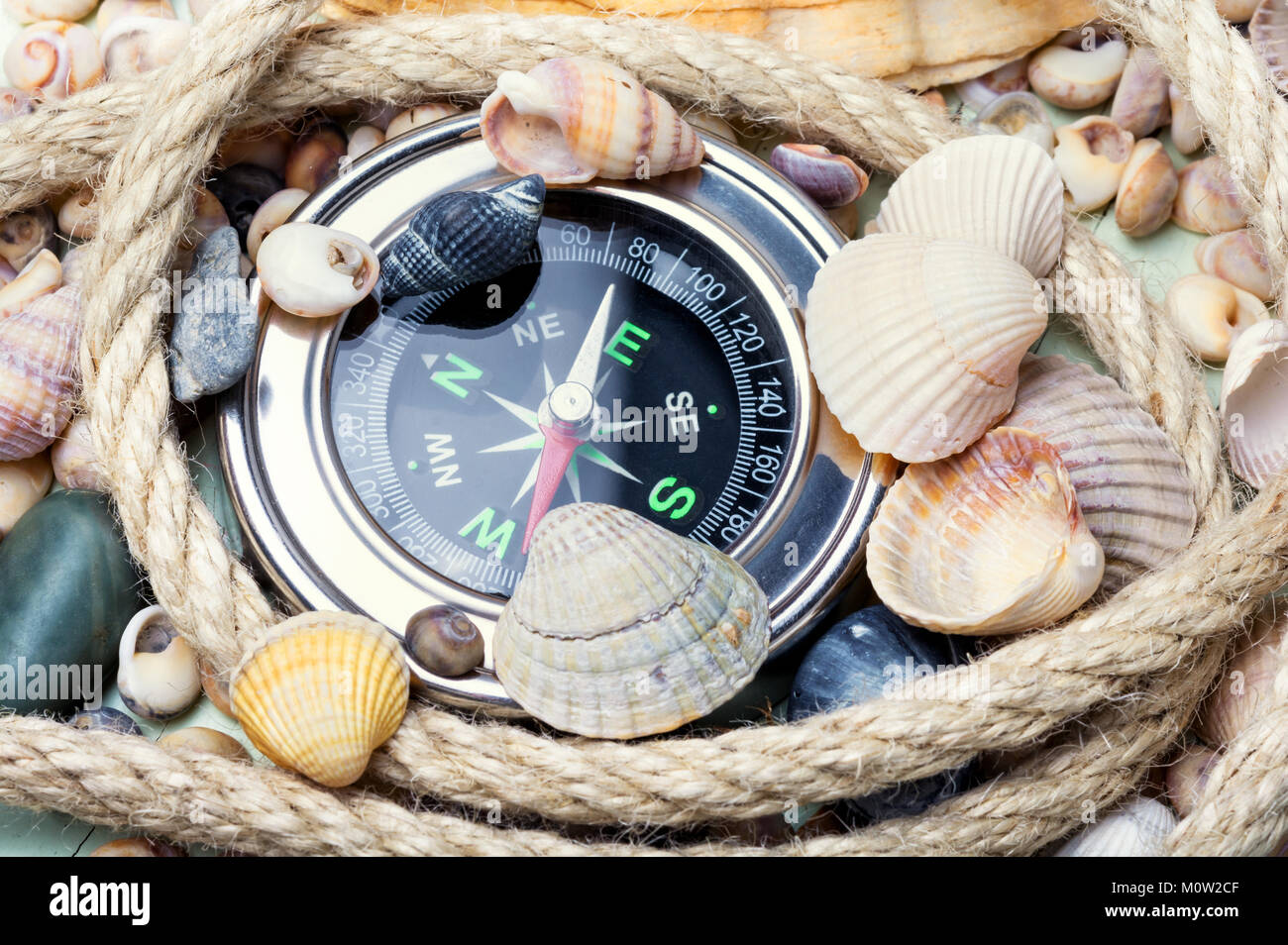 Sea compass on a background with ocean shells Stock Photo - Alamy