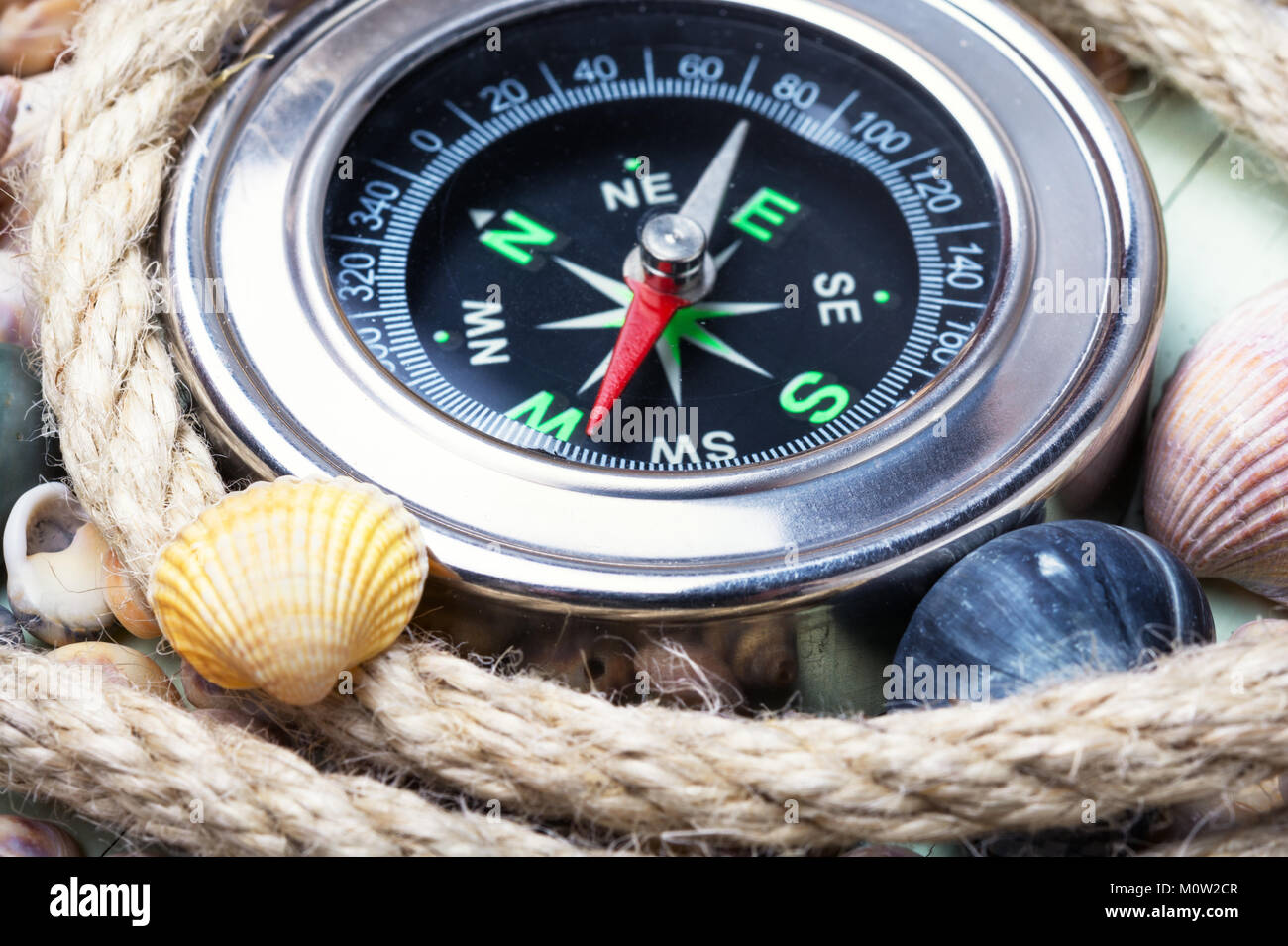 Sea compass on a background with ocean shells Stock Photo - Alamy
