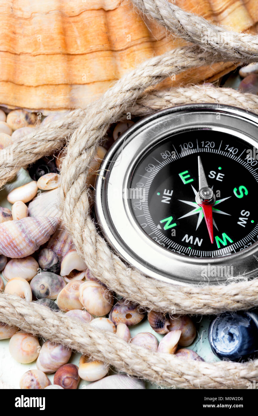 Sea compass on a background with ocean shells Stock Photo - Alamy