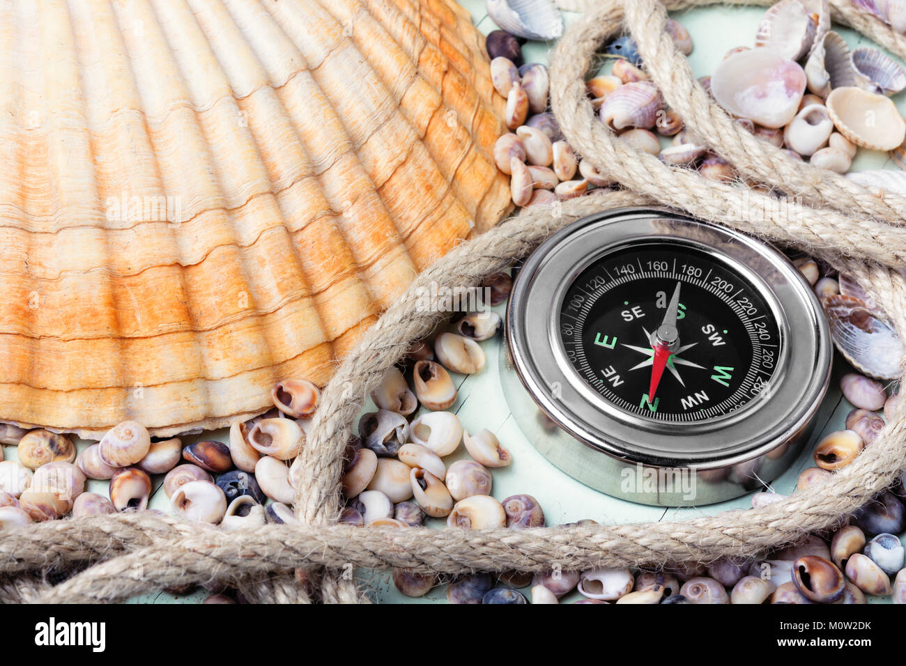 Sea compass on a background with ocean shells Stock Photo - Alamy