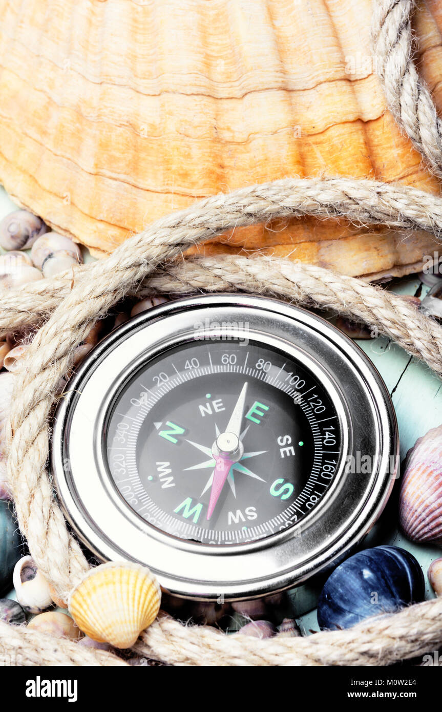 Sea compass on a background with ocean shells Stock Photo - Alamy
