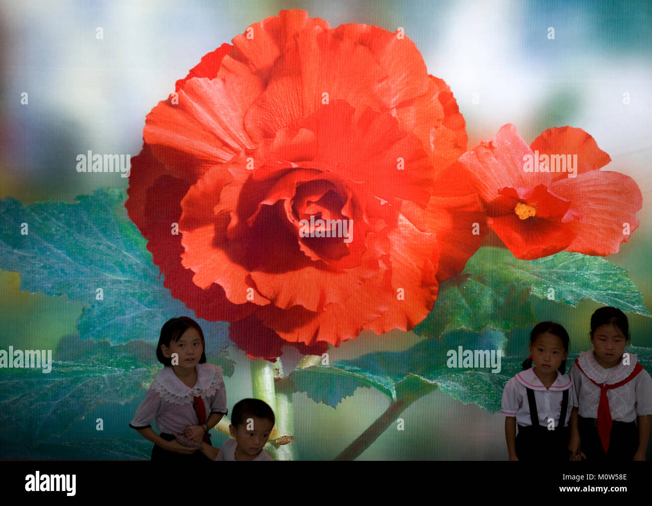 North Korean children under a Kimjongilia poster in the international ...