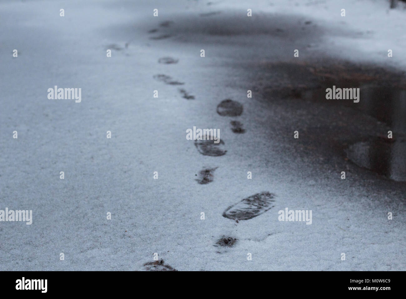 Season and environment road hi-res stock photography and images - Alamy
