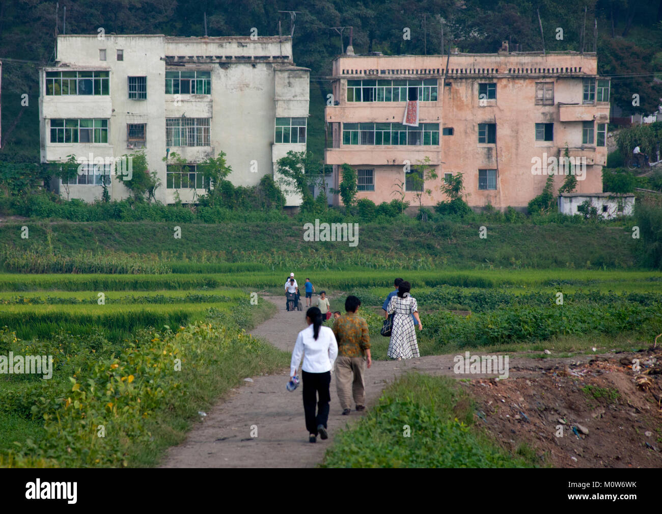 Noth Korean people walking on a path in the countryside, Kangwon ...