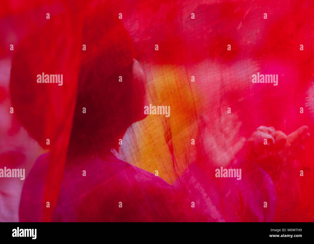 North Korean students during a mass dance performance on september 9 ...