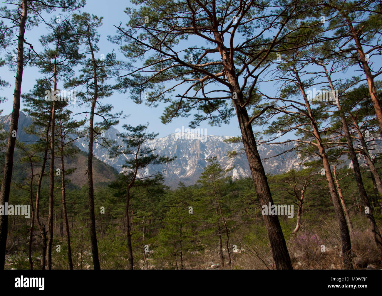Diamond mountain landscape, Kangwon-do, Mount Kumgang, North Korea ...
