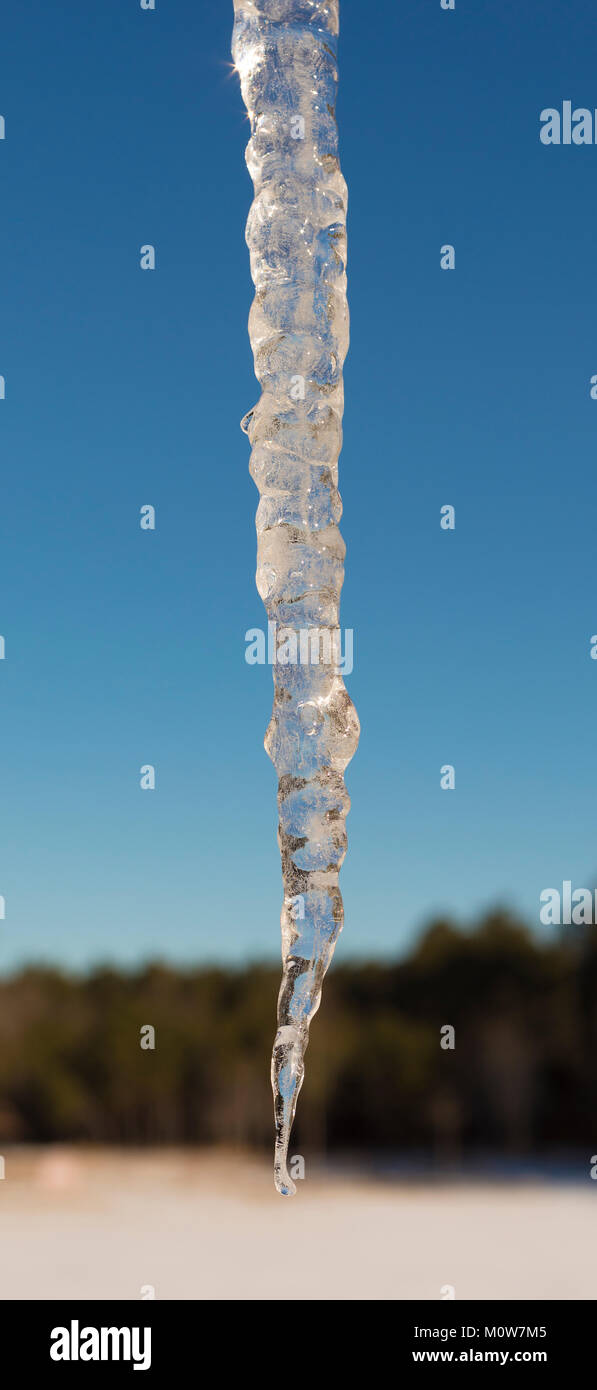 Long icicle after the snow bomb cyclone hit North Carolina Stock Photo ...