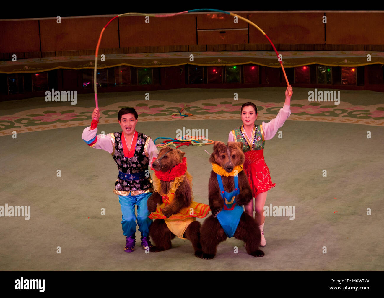 North Korean animal trainers and bear in a circus, Pyongan Province ...