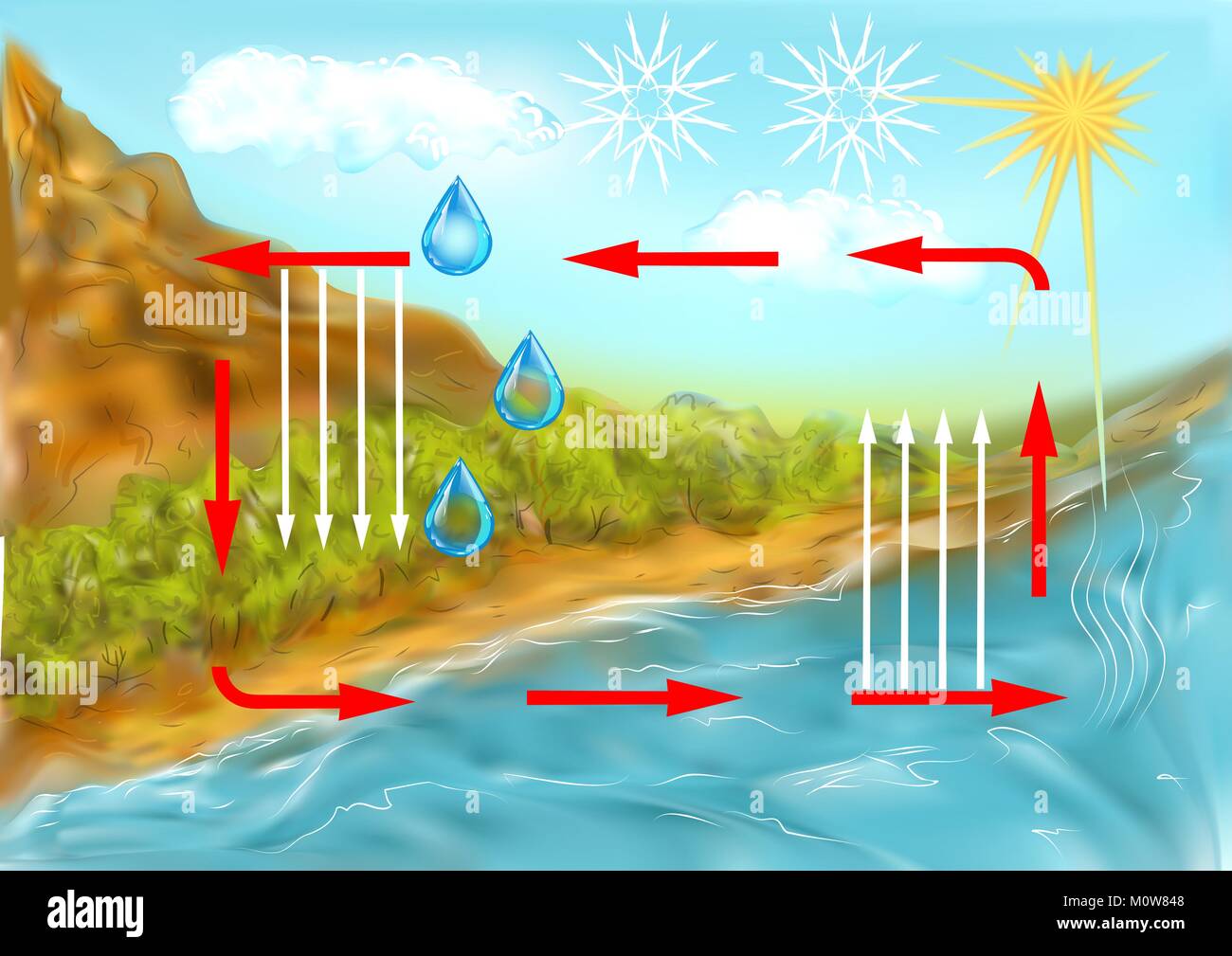 Water Cycle Schematic Representation Of The Water Cycle In Nature water-cycle-schematic-representation-of-the-water-cycle-in-nature