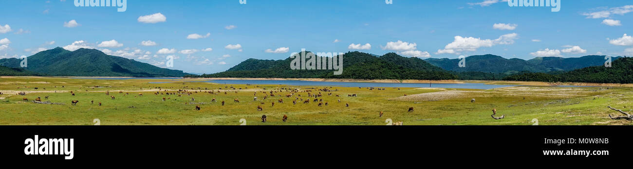 Panorama of Nui Coc Lake in Central Highlands, Vietnam. The Central ...