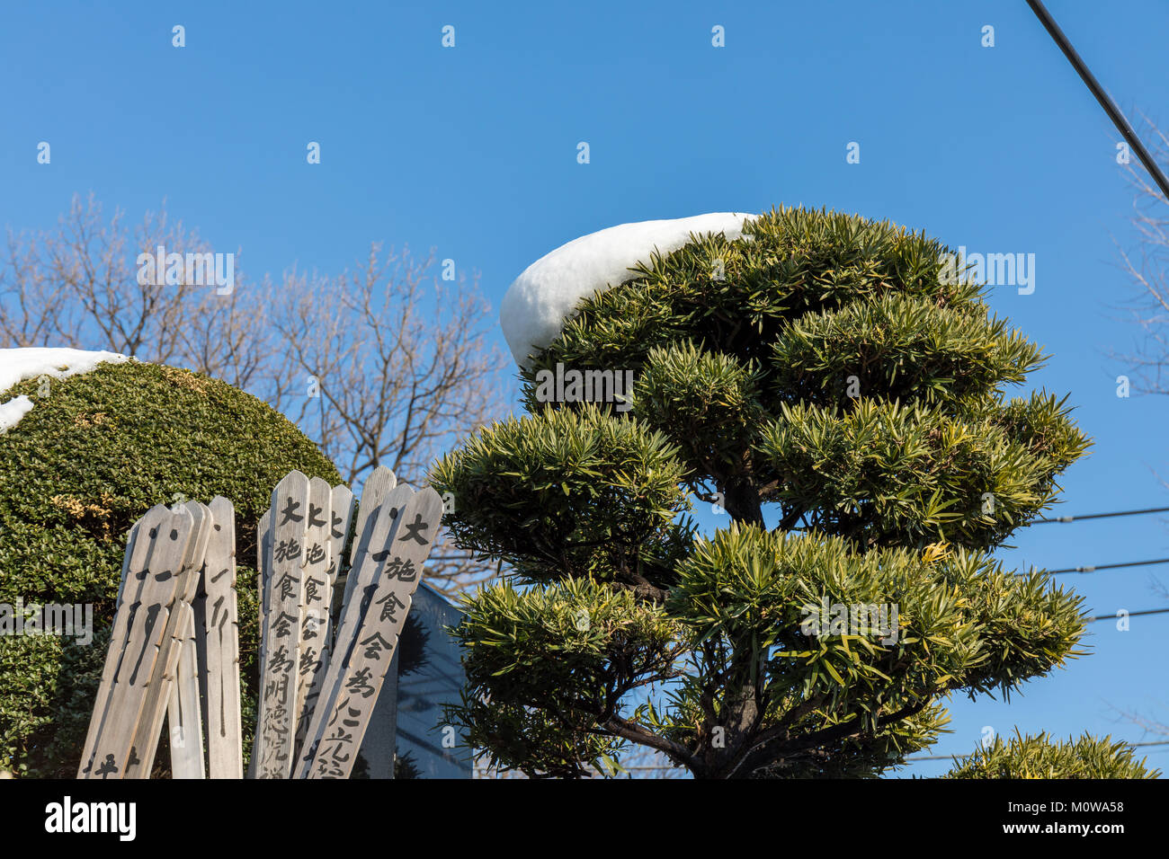 Japanese cemetery; Suginami, Tokyo Stock Photo - Alamy