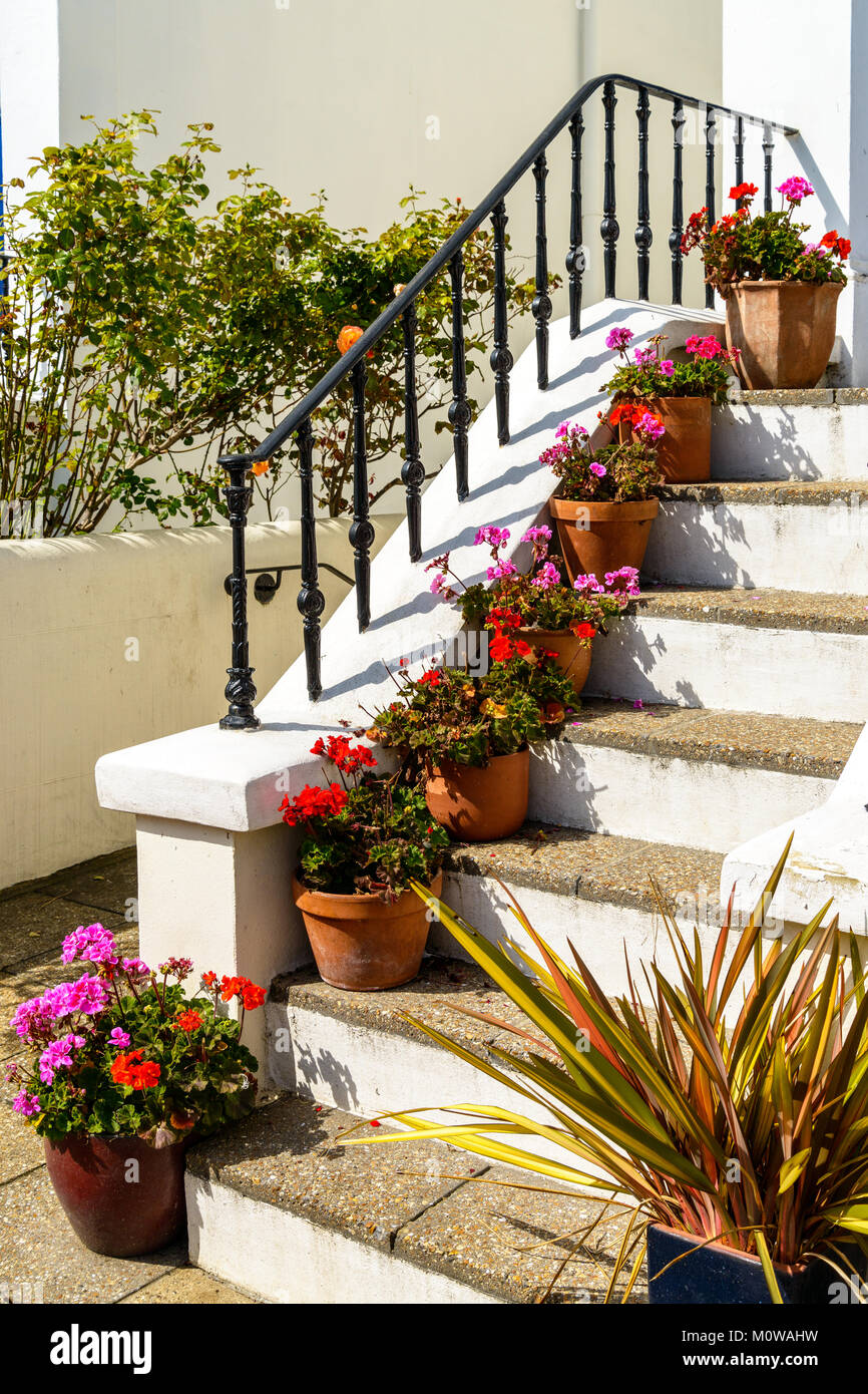 Village flower show rose hi-res stock photography and images - Alamy
