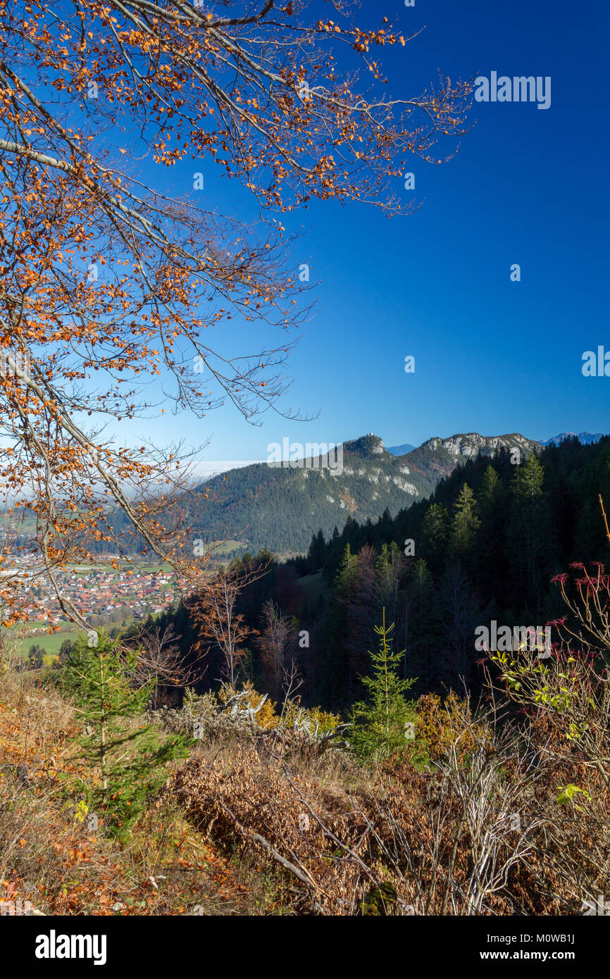 Falkenstein bavaria hi-res stock photography and images - Alamy