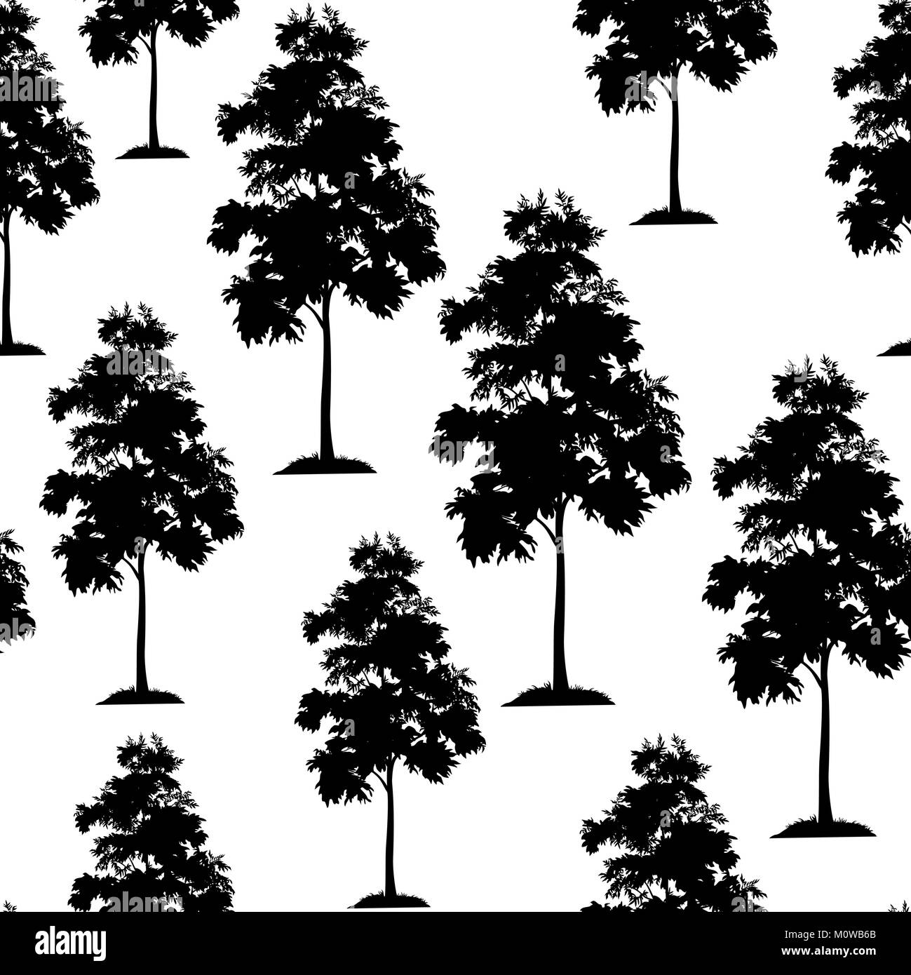 Acacia tree Stock Vector Images - Alamy