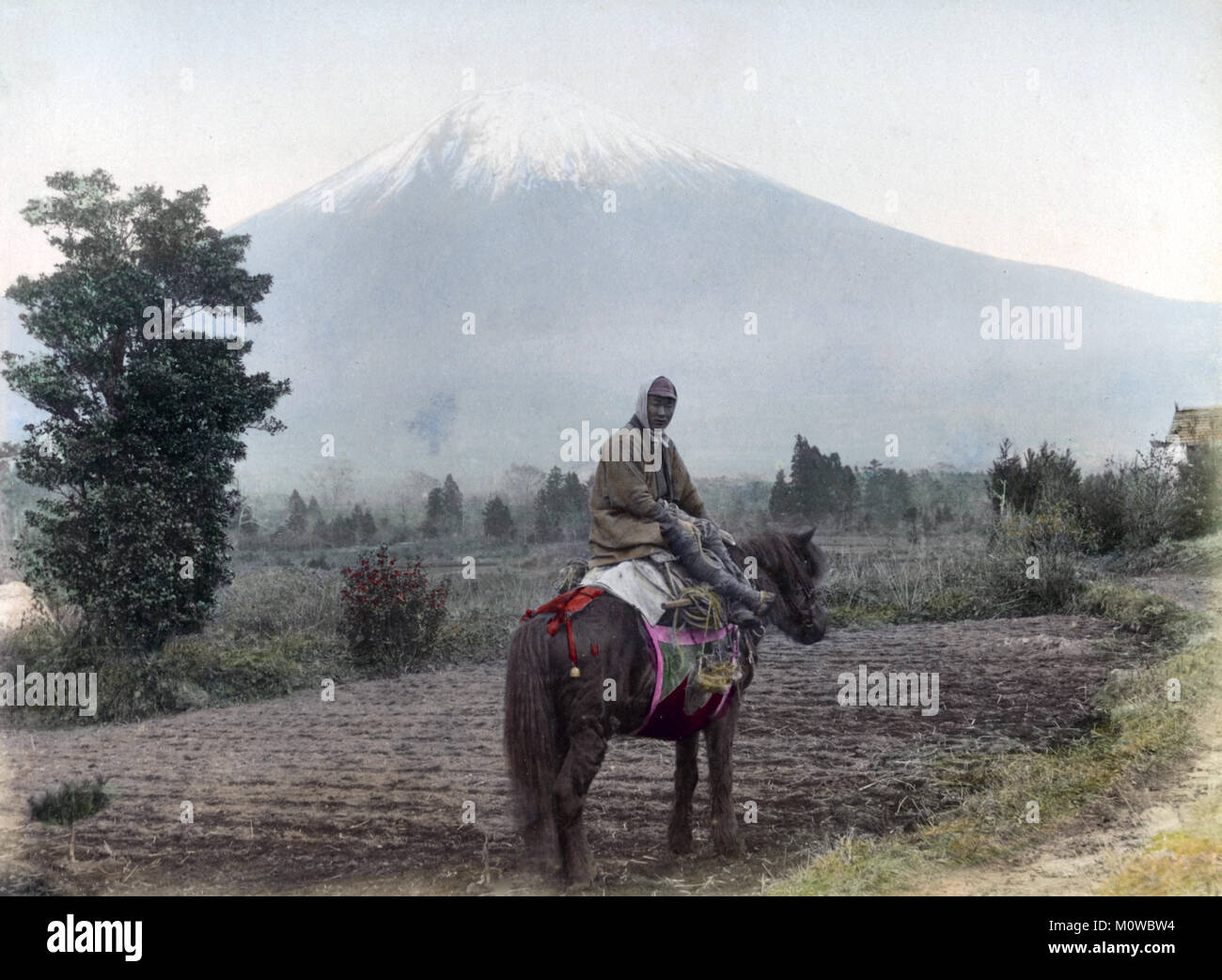 c. 1880s Japan - farmer on his horse near Mount Fuji Stock Photo - Alamy