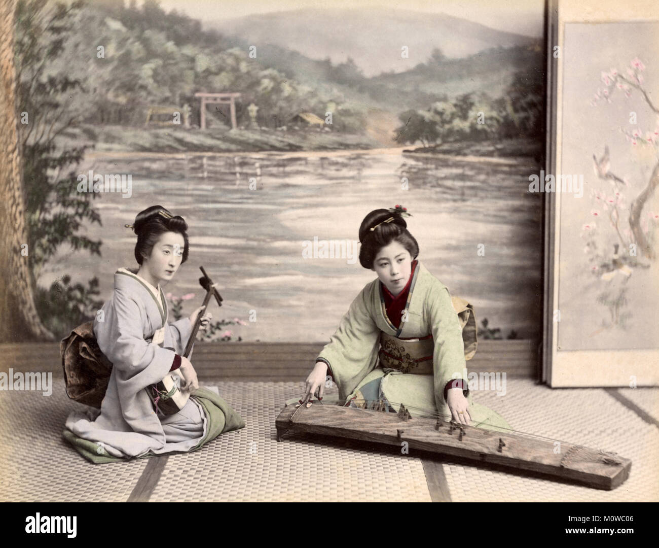 Geisha Musical Instrument Japan Japanese High Resolution Stock ...