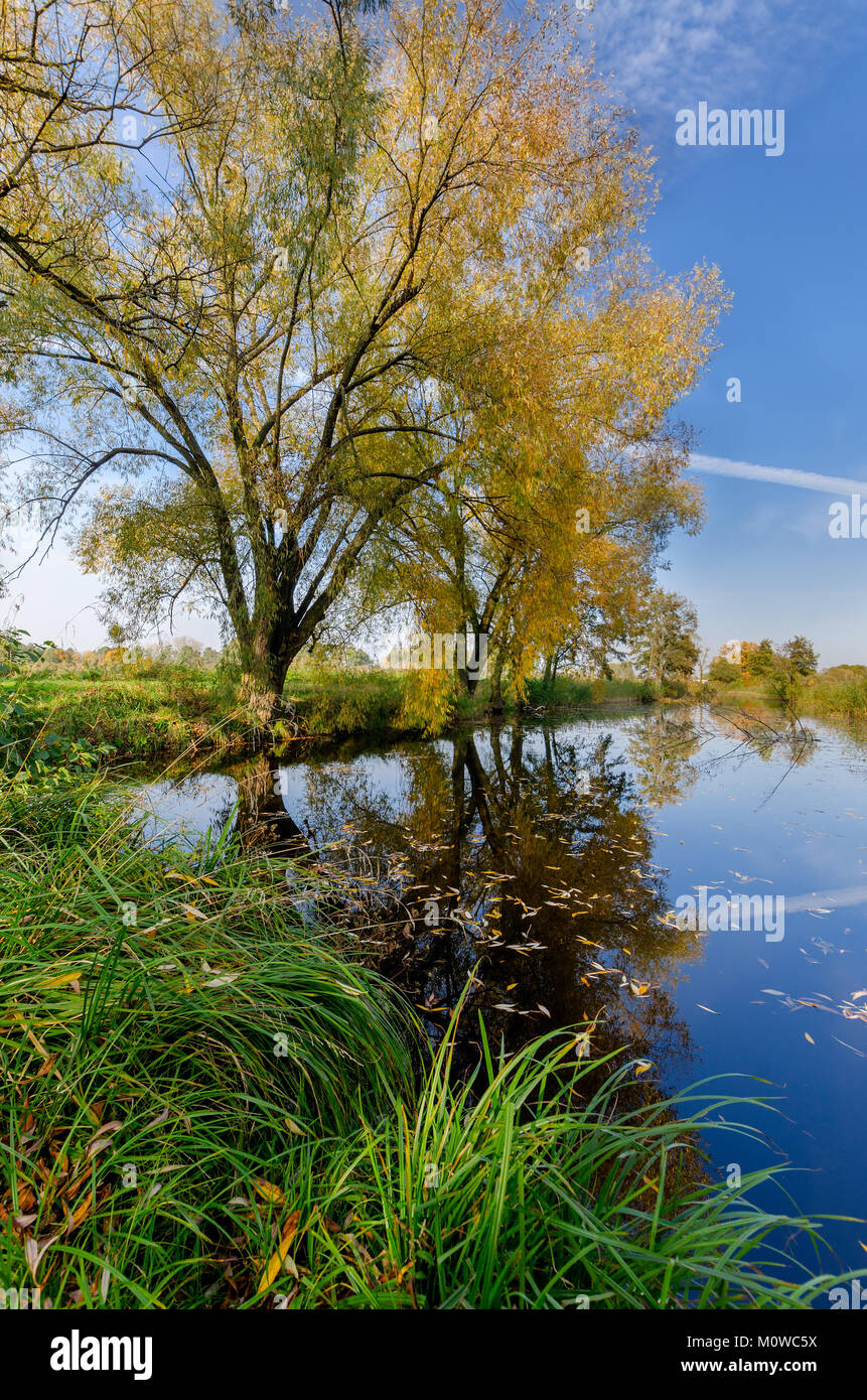 Raszyn poland hi-res stock photography and images - Alamy