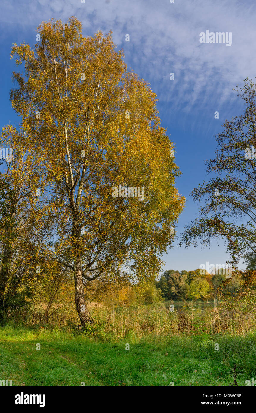 Raszyn poland hi-res stock photography and images - Alamy