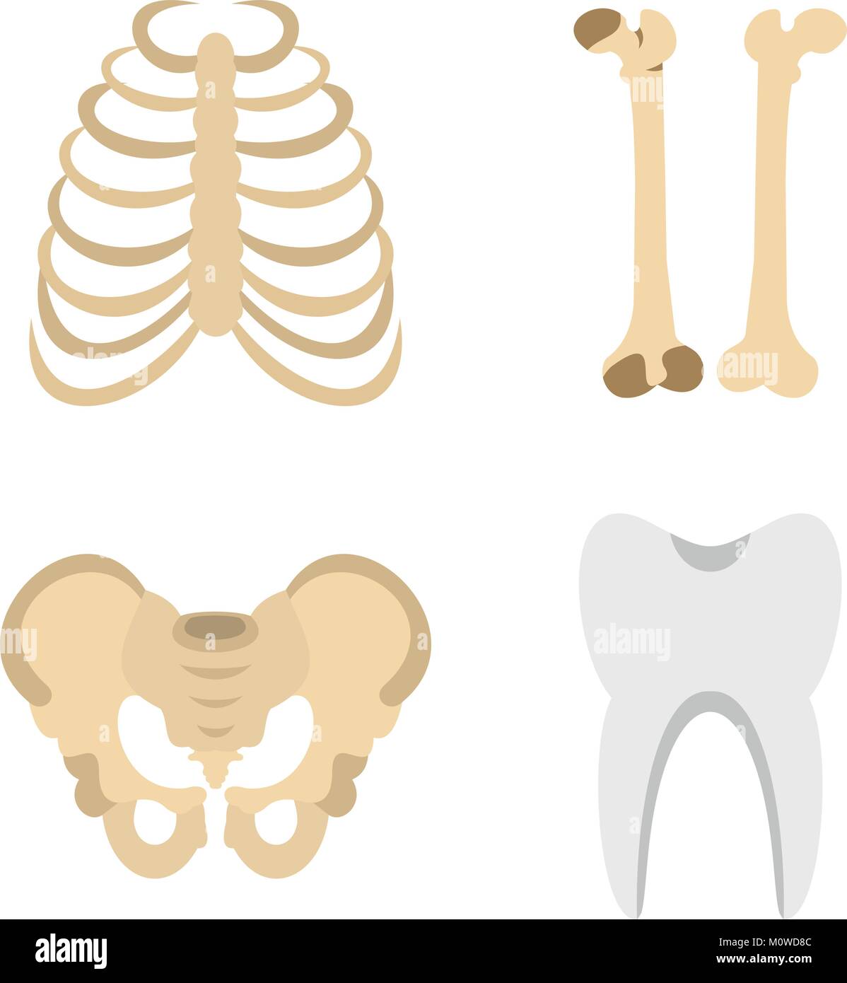 Human bones icon set, flat style Stock Vector Image & Art - Alamy
