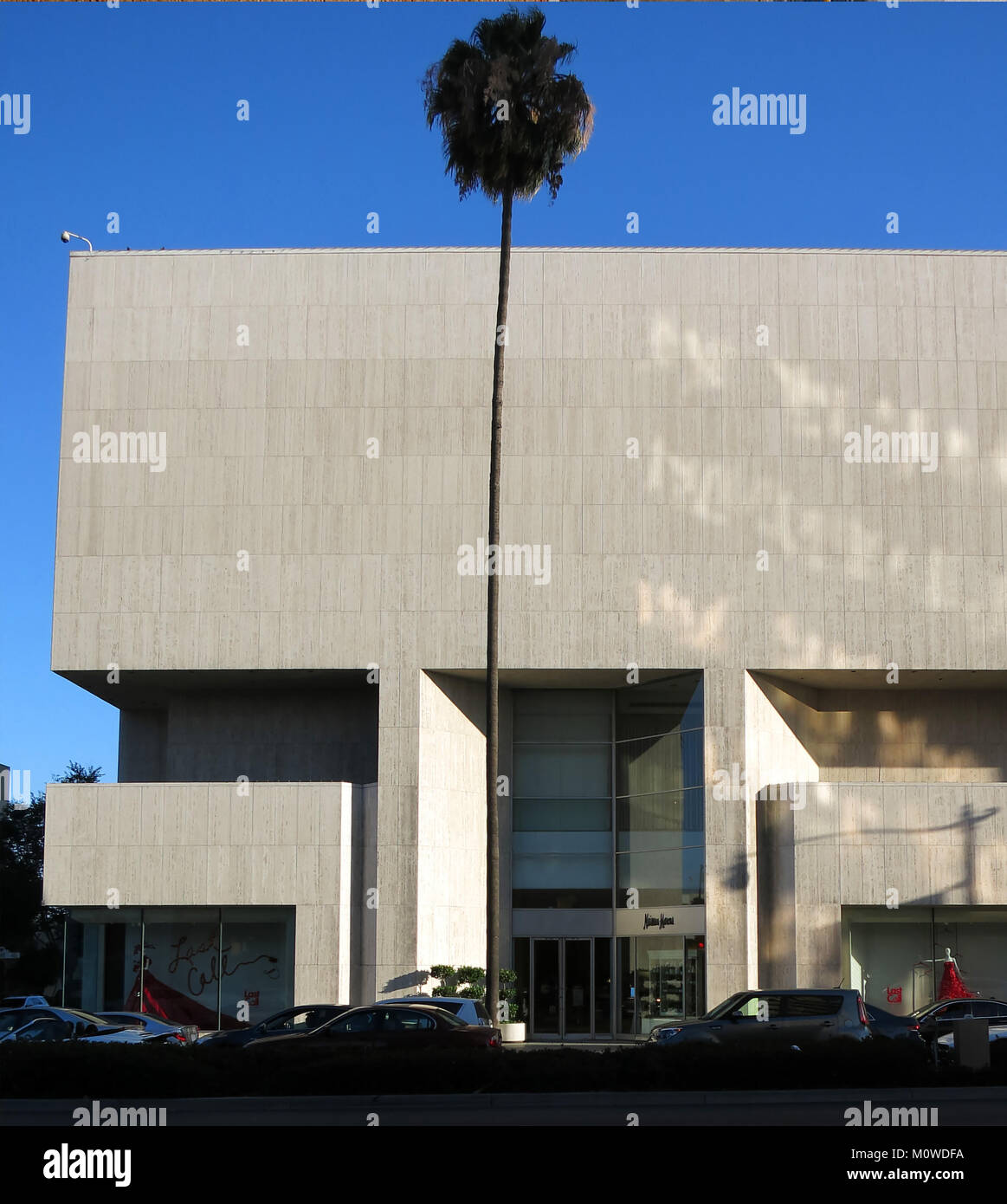 Palm trees in Los Angeles, California, USA Stock Photo - Alamy