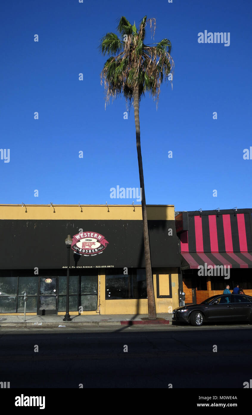 Palm trees in Los Angeles, California, USA Stock Photo - Alamy