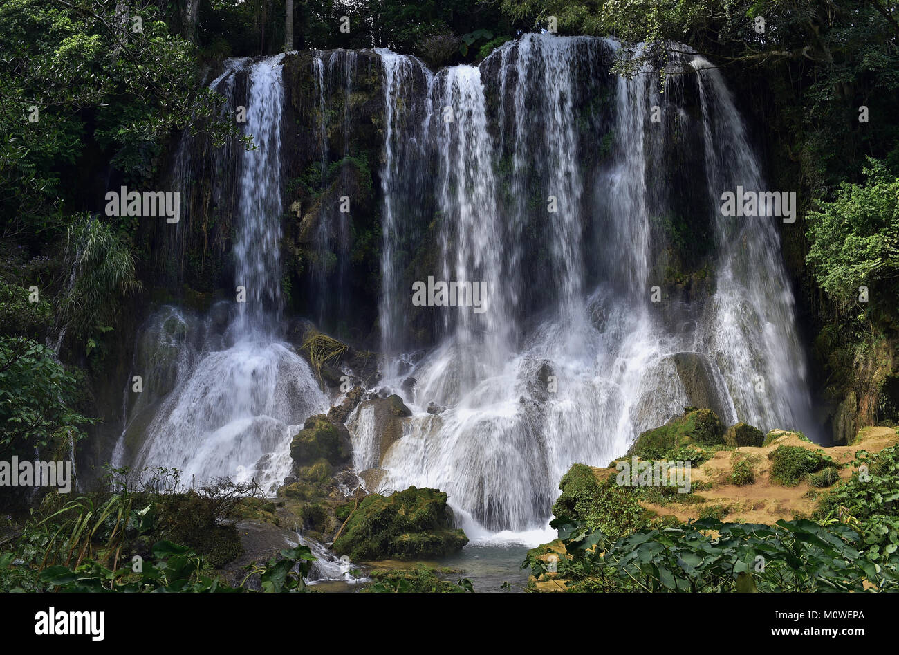 Waterfall in a lush rainforest. Beautiful waterfalls or cascades in El ...